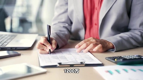 消费税纳税申报表