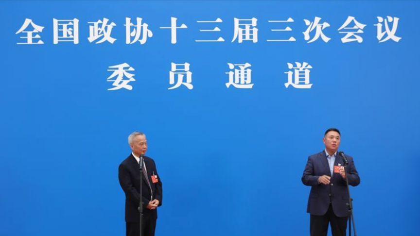 220秒回顾全国两会首场委员通道 抗疫、脱贫、就业等热点都在这儿