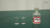 8、视频中两个小烧杯中,分别装有无色的水(滴入几滴无色酚酞指示剂)...