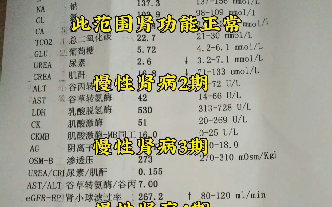 通过肾小球滤过率看肾脏病分期