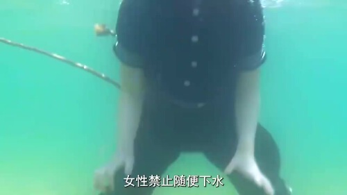 如何从普通泳者蜕变为传奇冠军揭示运动员的奋斗故事