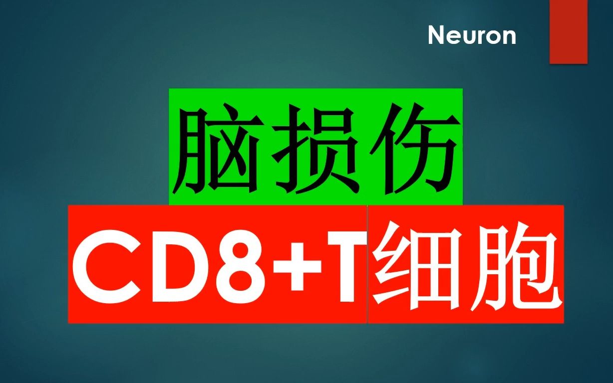 Neuron—阻断CD8+T细胞入脑,可以逆转脑损伤!