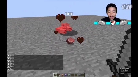我教你玩Minecraft、学会编程(6)