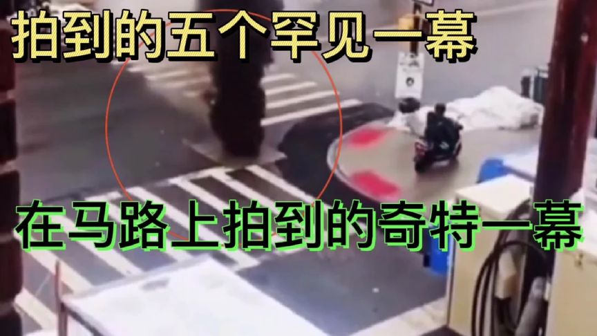 拍到五个罕见一幕!你们还见过那些奇特现象?感谢官方!