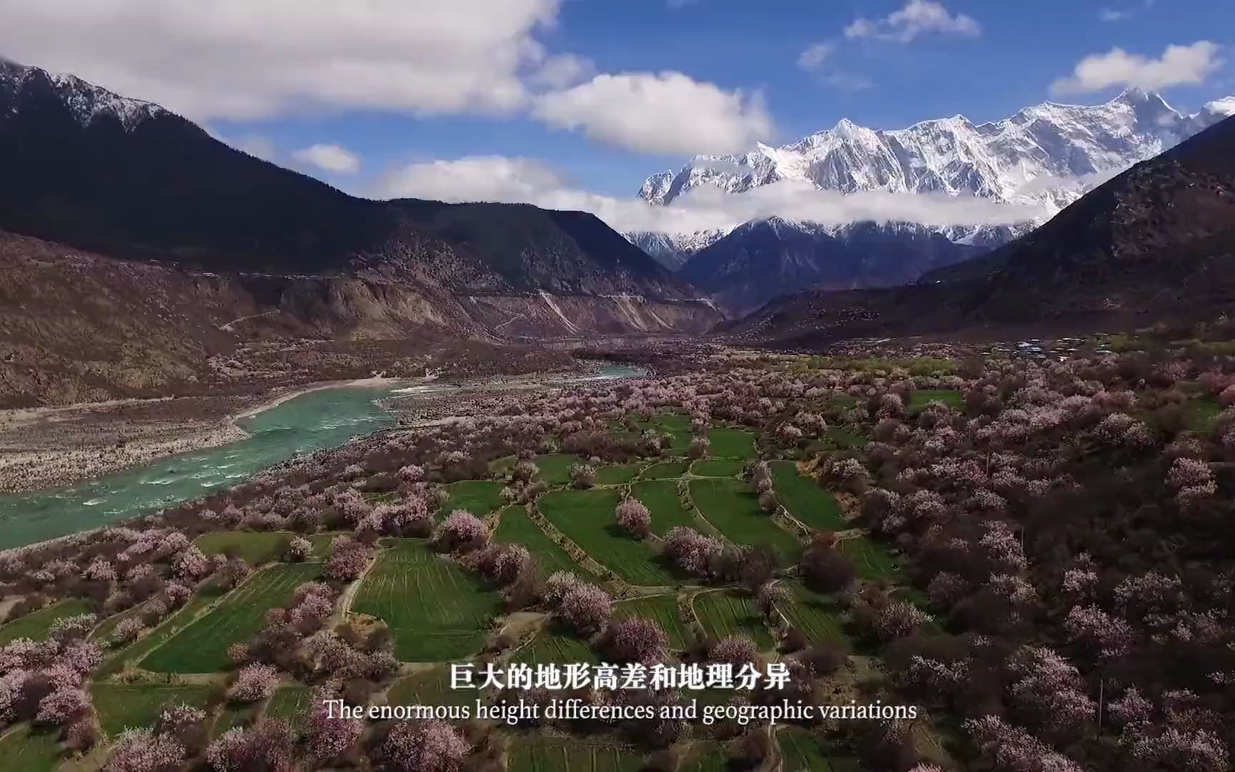 保护生物多样性•主题宣传片大联展 西藏篇