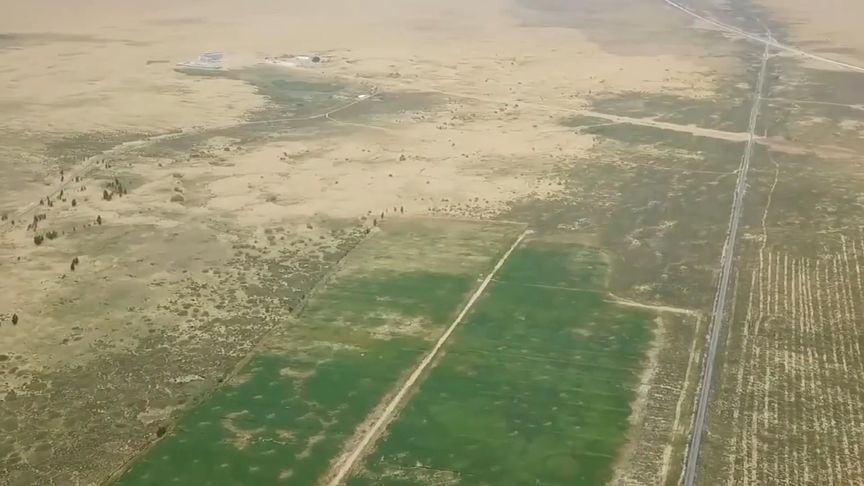 马云的蚂蚁森林成啥样了,大片沙漠变绿洲,看完后很自豪