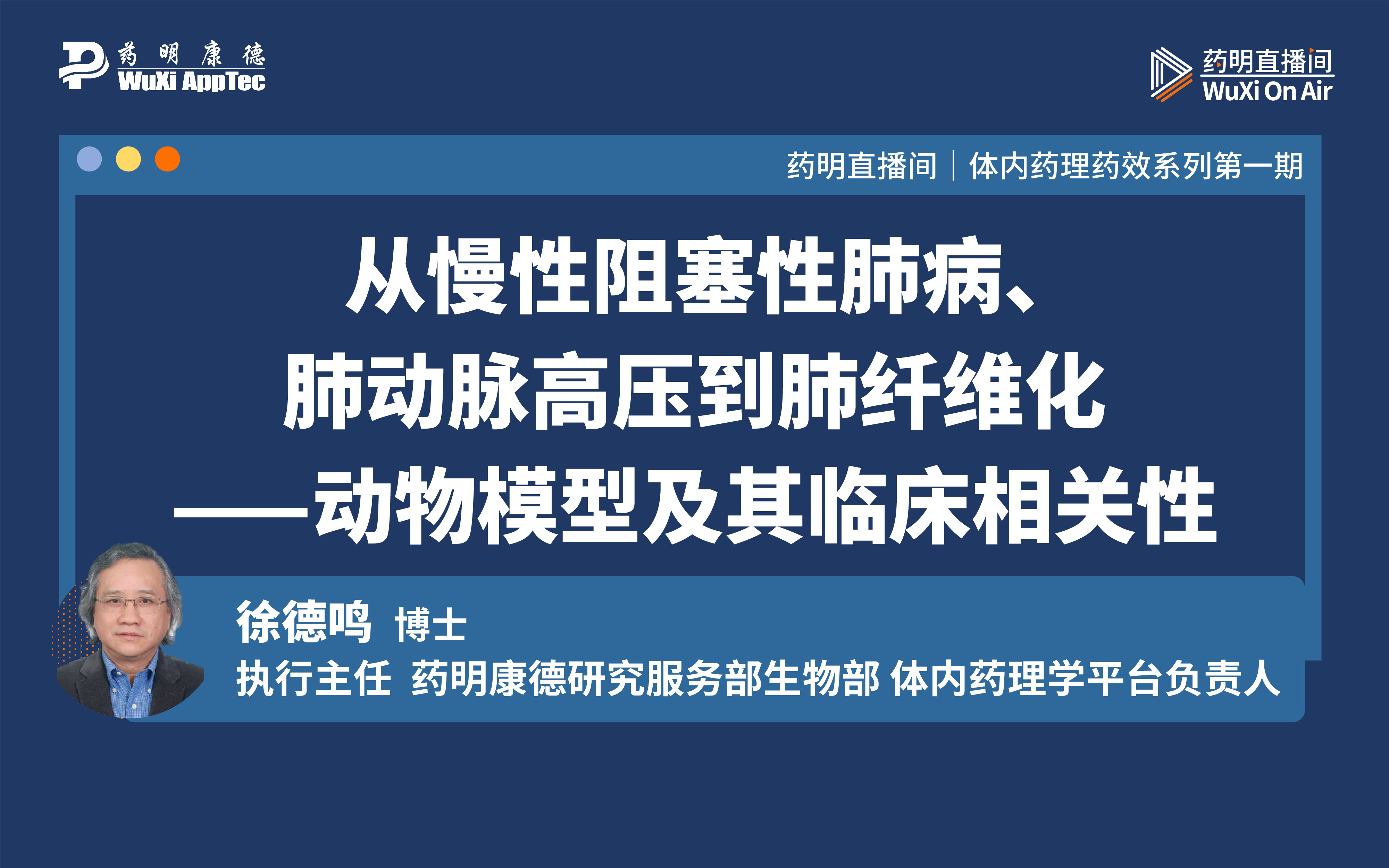 体内药理药效:从慢性阻塞性肺病、肺动脉高压到肺纤维化--动物模型及...