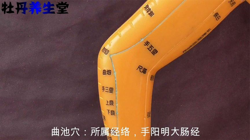 曲池穴主治:绕踝风,手臂红肿,肘中痛,半身不遂,恶风邪气