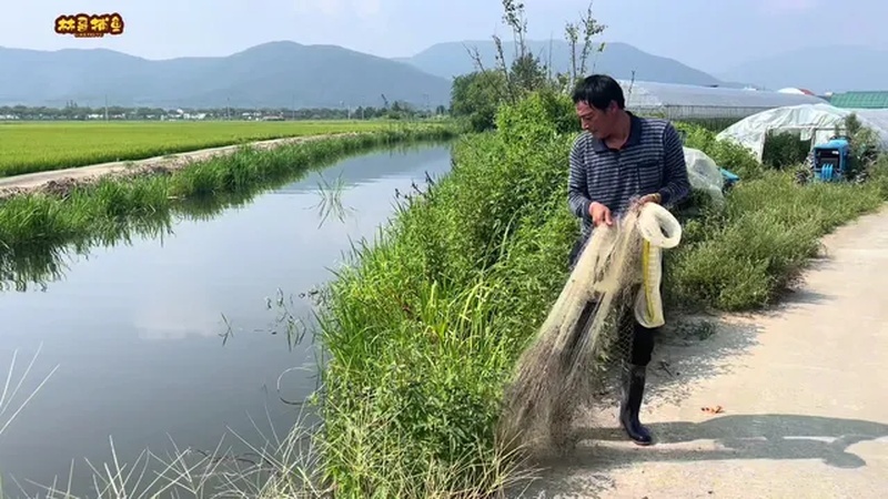 撒网捕鱼看完此视频才知道撒什么样的网行才能抓住鱼了