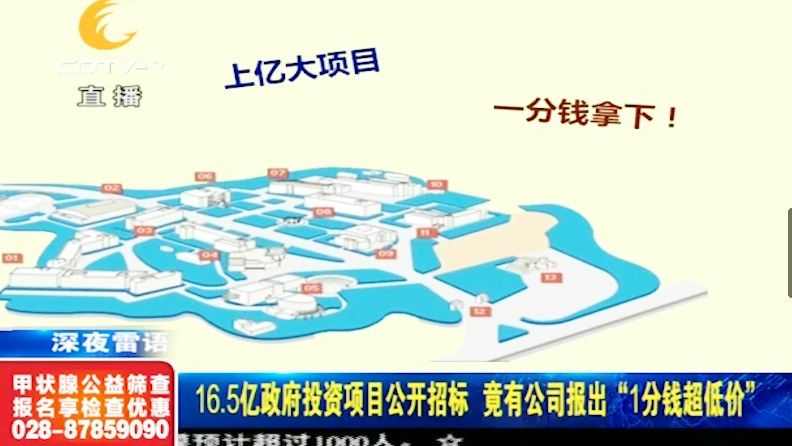 16.5亿元政府项目公开招标,竟有人以“1分钱超低价”中标?