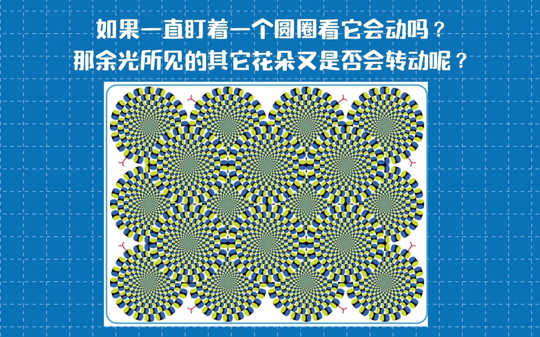 科学风暴实验室——奇幻视错觉——你看图片在动吗?