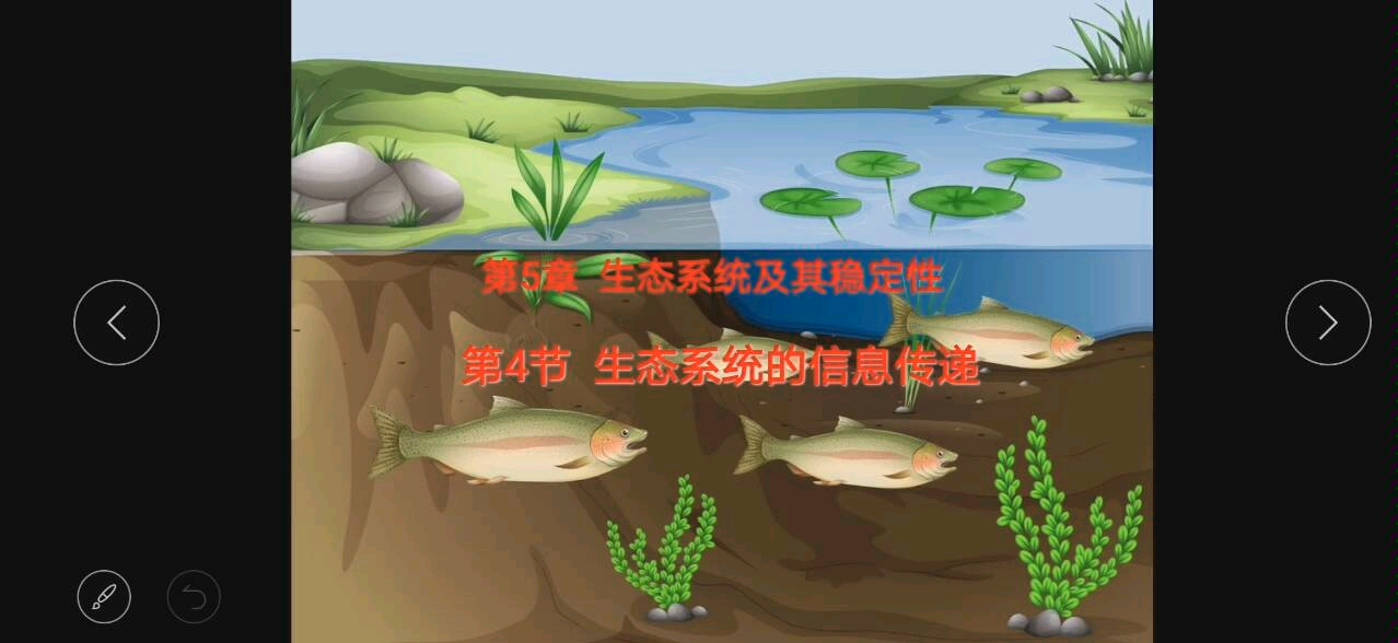 必修三5.4生态系统的信息传递