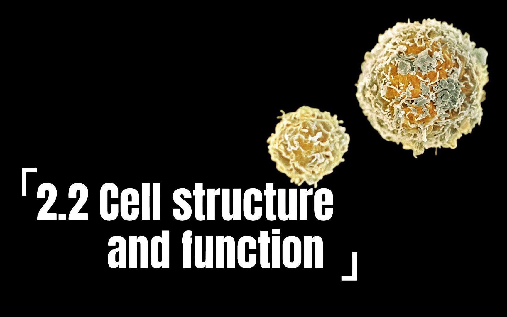 制霸AP生物|2.2 Cell structure and function 细胞结构与功能