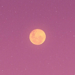 一只小FaFa_ 
