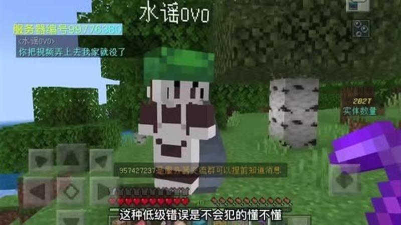 我的世界mc网易我的世界手机生存2b2t服务器编号99776380