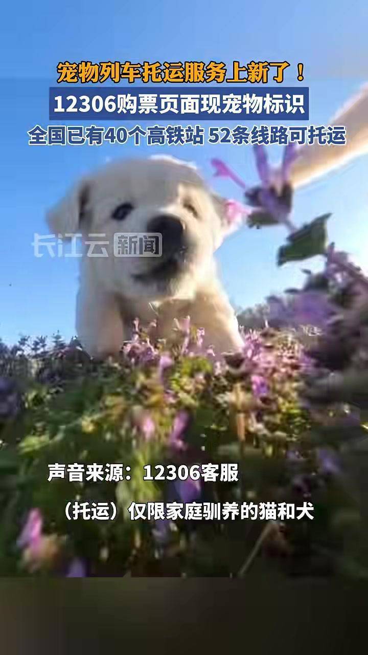 宠物列车托运服务上新了!12306官方购票页面现宠物标识