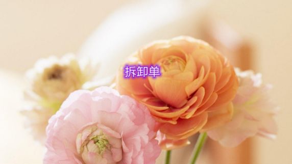 用友T+如何填制拆卸单?#财务 #会计实操