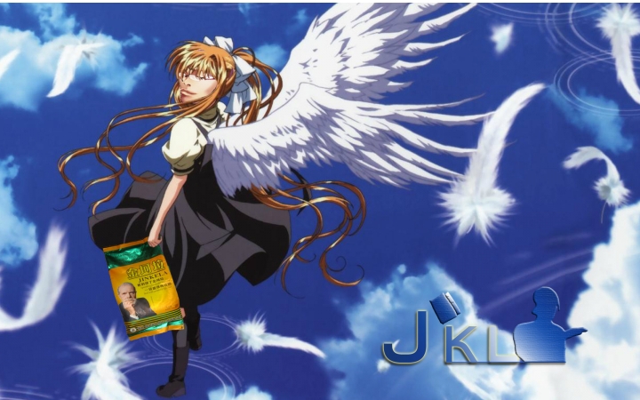 【坷垃动画】JKL:垃之诗(AIR:鸟之诗)