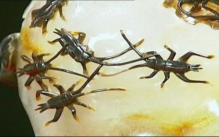 玛瑙原石人工打磨视频教程-玛瑙雕刻制作工艺1