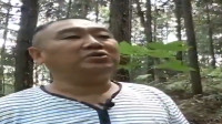 林农们投资森林抚育,经济压力大,林农快贷帮他们解决了资金问题