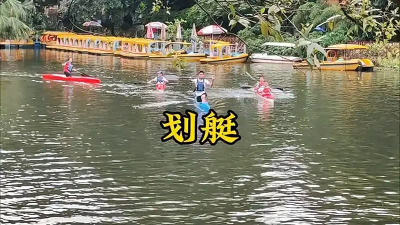 青少年锻炼 划艇运动