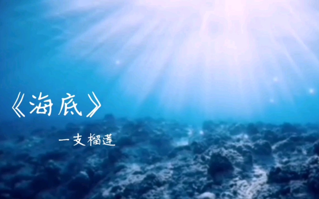 【拇指琴】《海底》一支榴莲