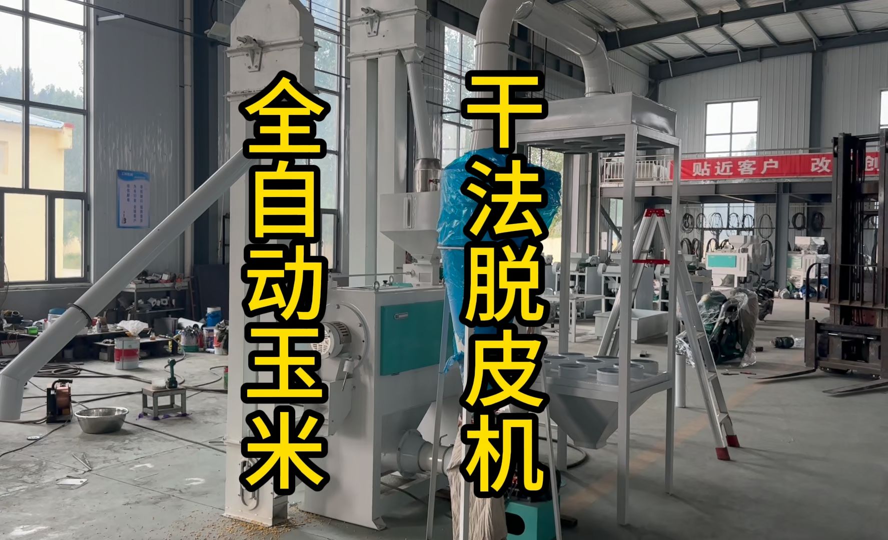 全自动玉米脱皮机,玉米去皮机