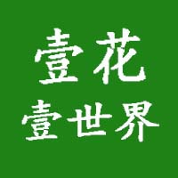 小霍聊花卉 