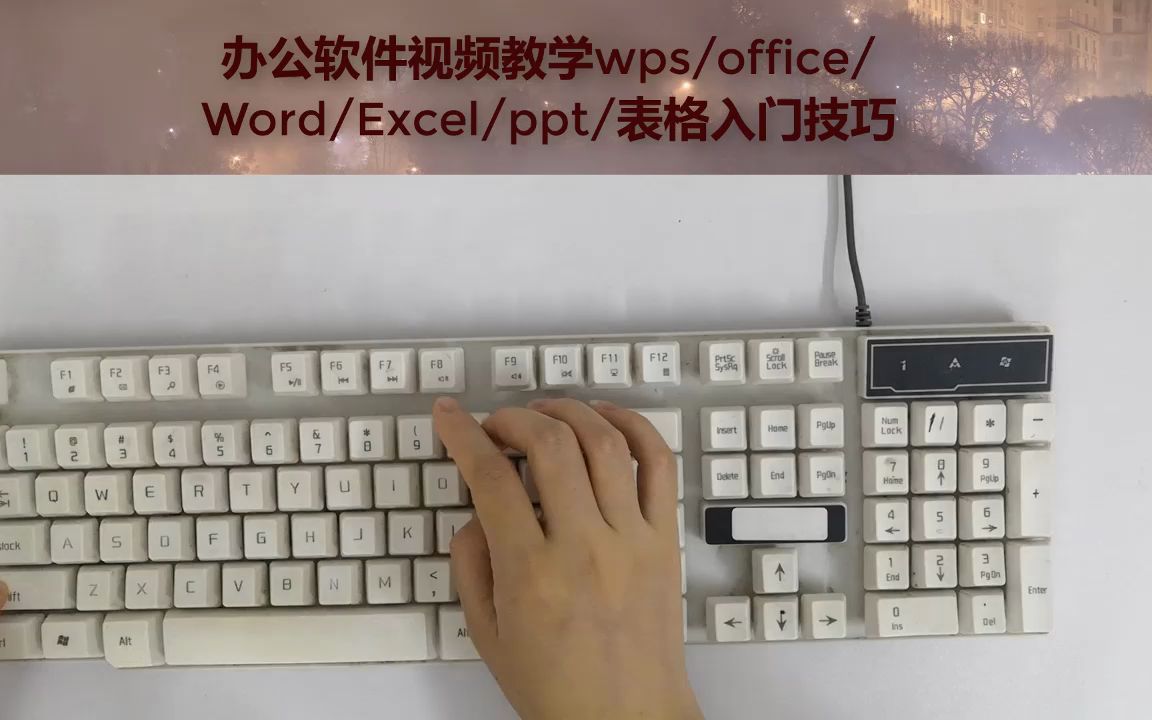 电脑表格制作初学教程,WPS表格制作教程,Word办公软件