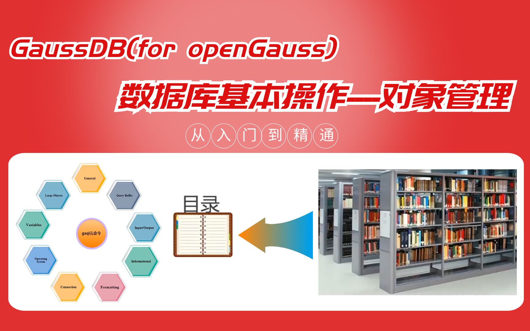 【第24期】GaussDB(for openGauss)数据库基本操作