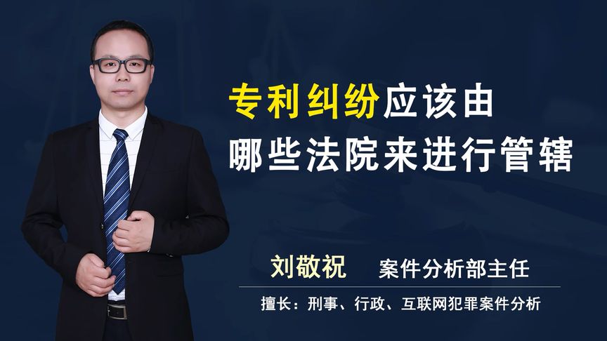 专利纠纷案件由哪个法院管辖