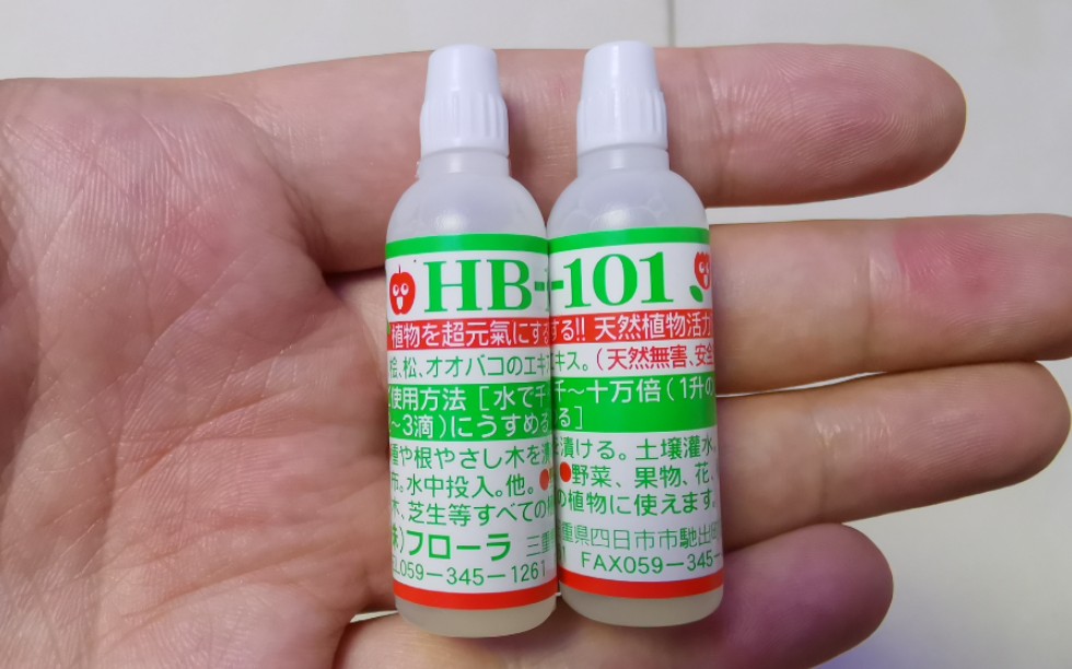 【小实验】HB101植物活力素试用,到底有没有那么神奇