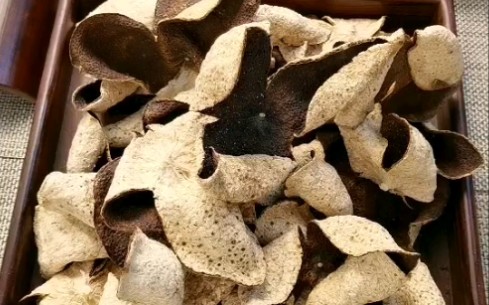 分享一下,正宗新会原产地核心果园,大红柑果陈皮,普及陈皮知识 ,以及...