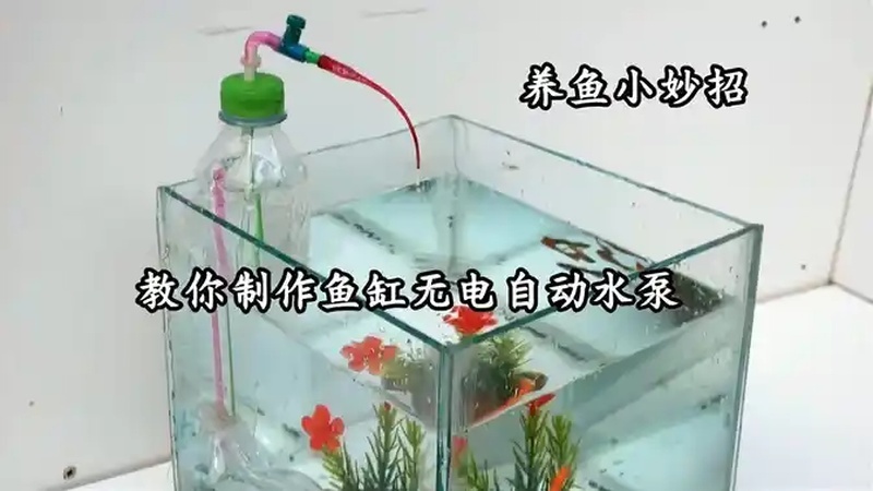 鱼缸停电怕鱼缺氧?压力差原理制作"增氧泵",不用再担心停电!