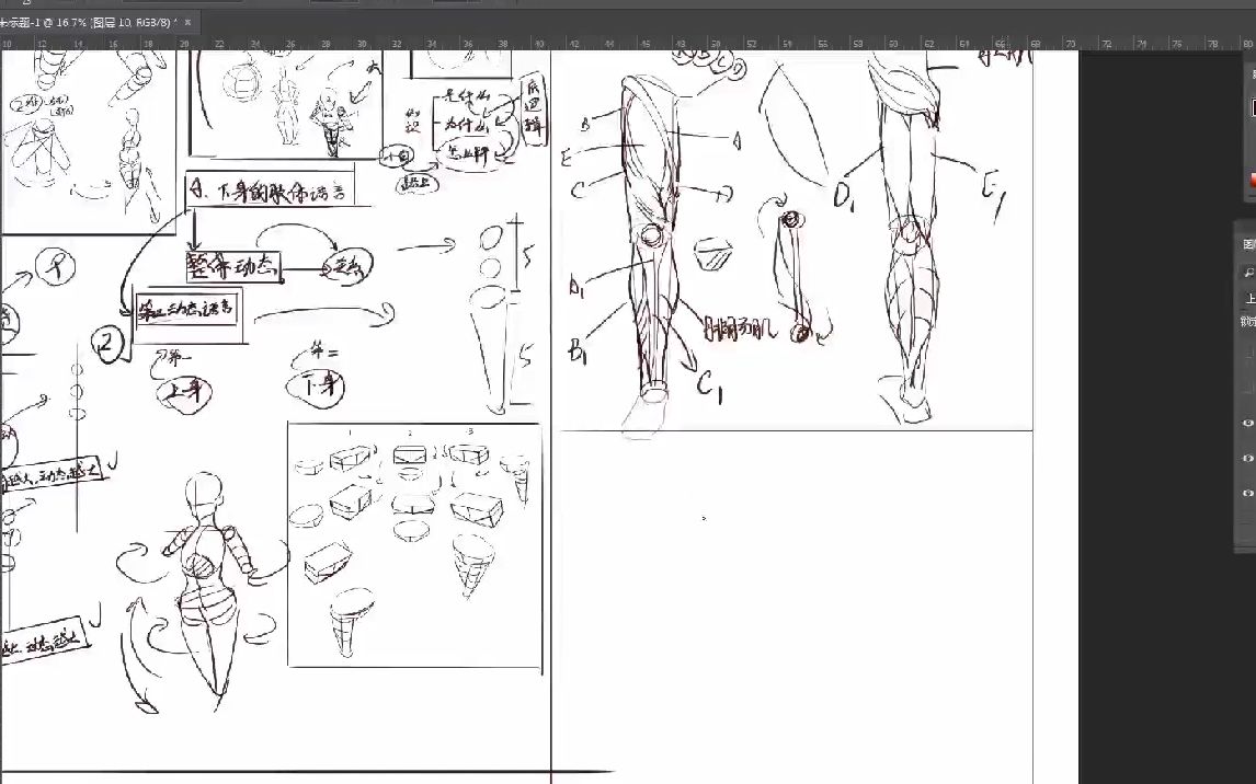 人物角色人体下身结构绘画讲解