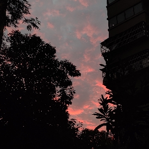 冰菓゛ 