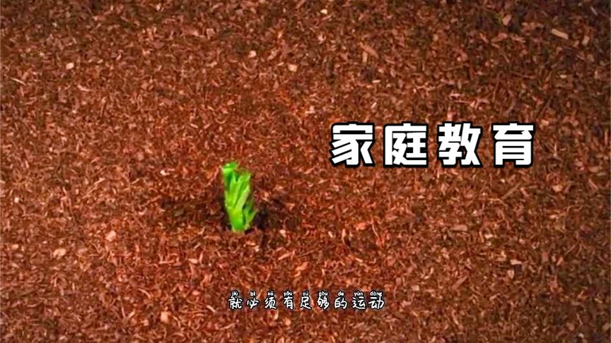 劳动教育的意义