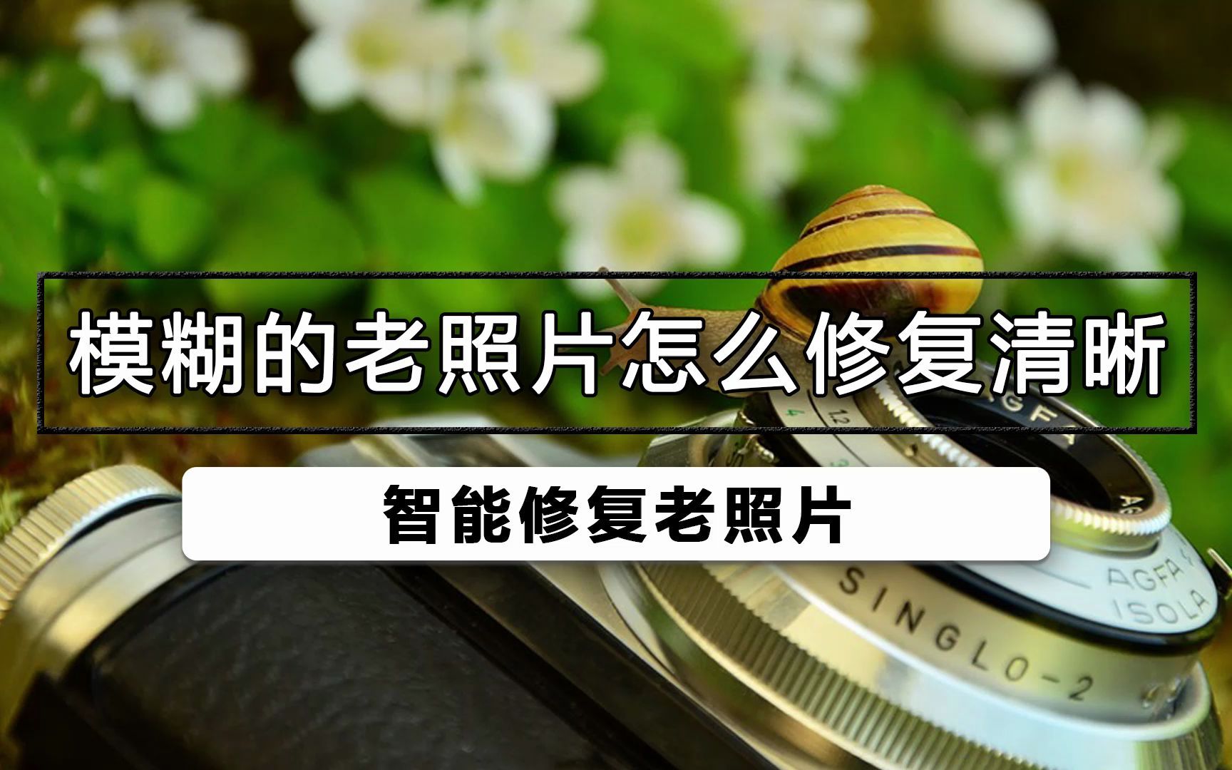 如何对模糊的老照片修复清晰