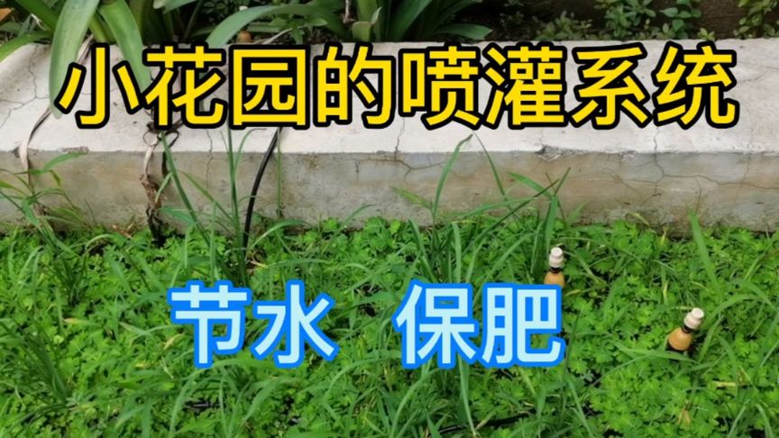 自己动手安装个喷灌系统只需打开水龙头就能轻松浇水 节水 保肥