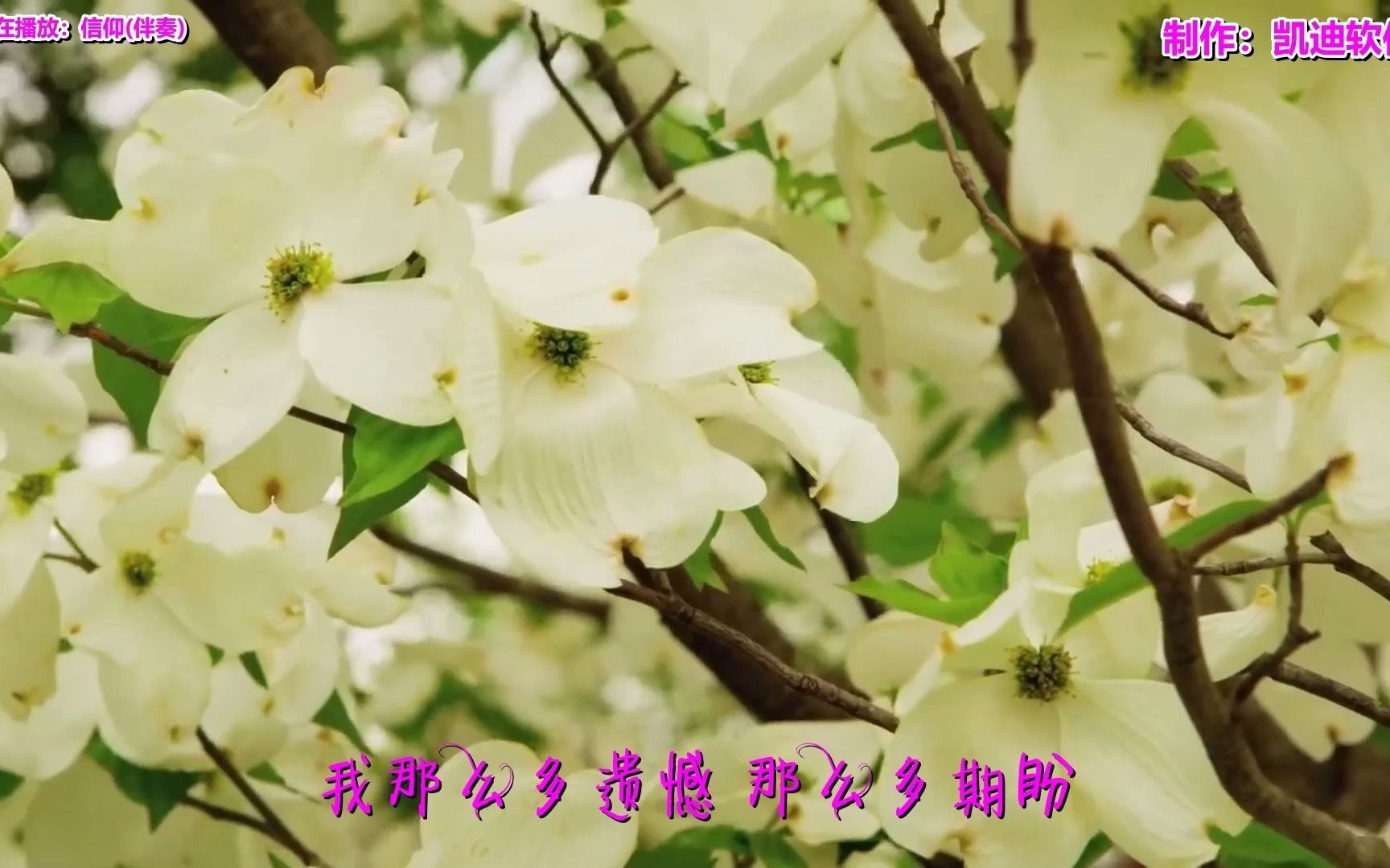 《信仰(伴奏)》欣赏,相册mv制作软件电脑版