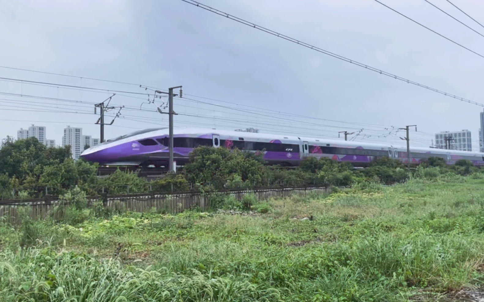 ...CR400BF-Z0524号智能复兴号高铁 G55316次通过杭州南站杭甬场。