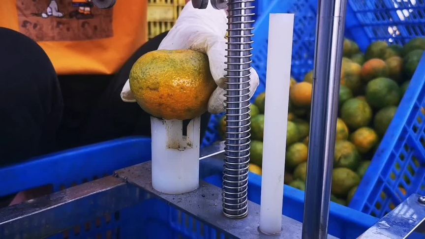 新会东甲陈皮,取皮#越野e族