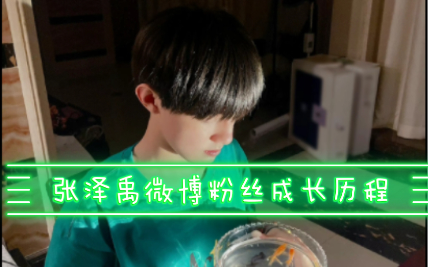 张泽禹微博粉丝成长历程
