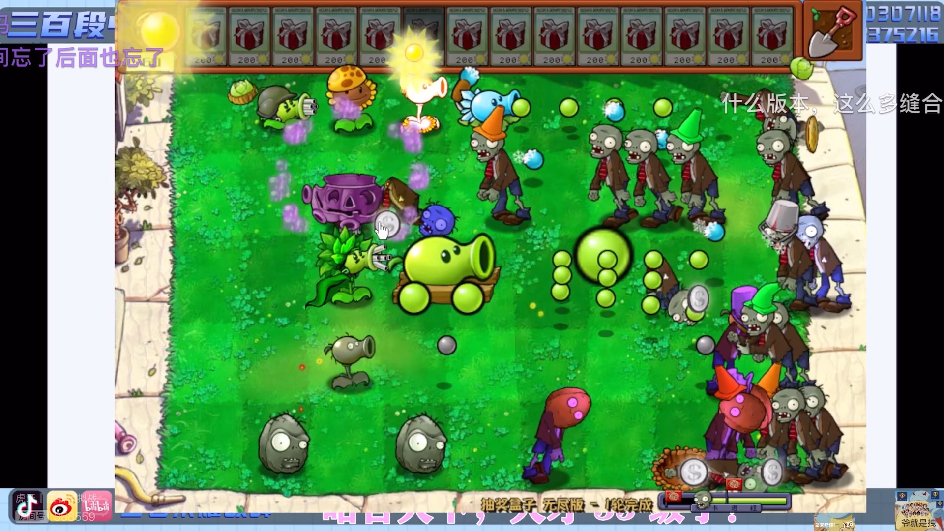 5.8号晚故辞直播录屏 植物大战僵尸1_植物大战僵尸