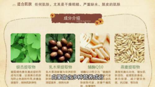 1895.白果有什么作用
