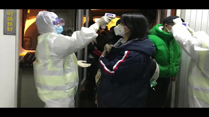 显微镜下细菌和病毒的区别