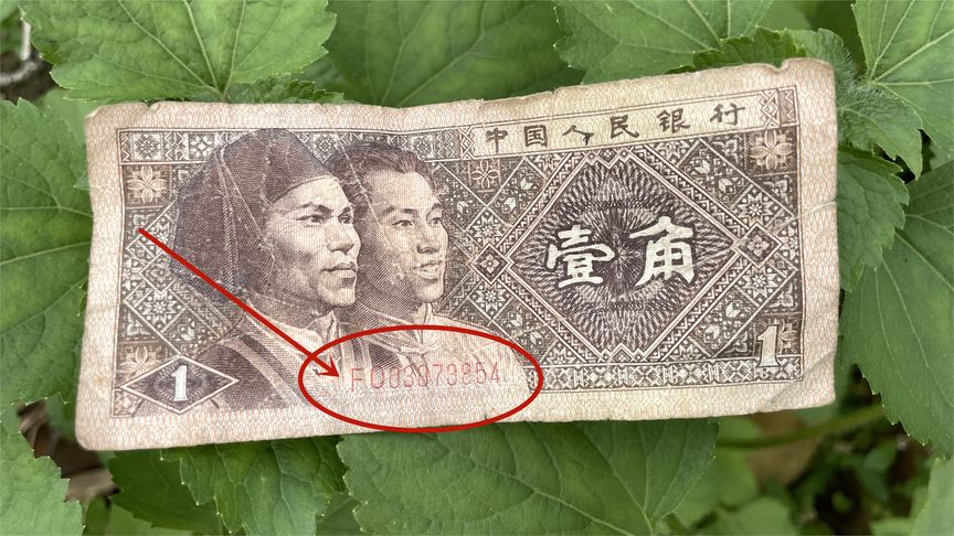 1600元一张的1角钱或许你家也有,我们曾经都用过,却忽然了看看