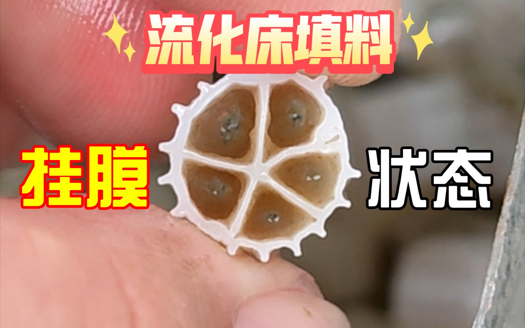 流化床k1填料挂膜状态,翻滚的移动生物床内壁附着大量飘动的絮状物