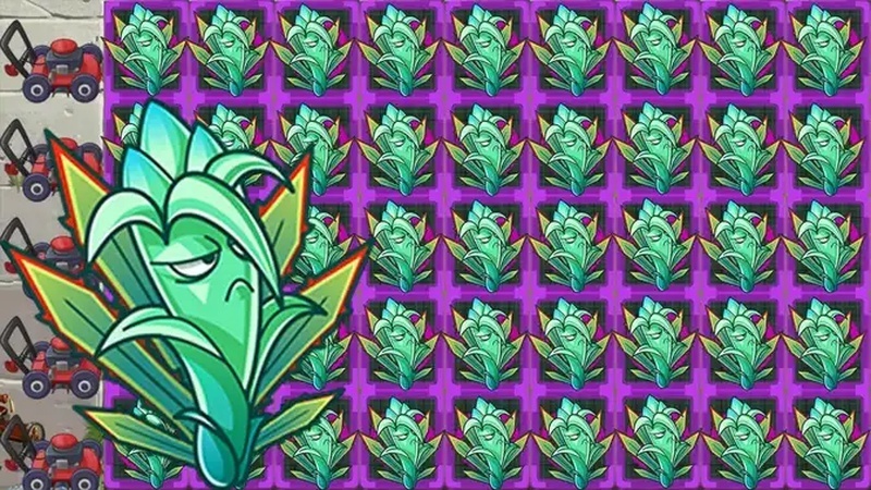 植物大战僵尸2:暴怒的4阶龙舌兰秒杀六阶僵尸博士!