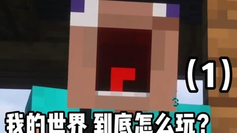 我的世界到底怎么玩#1